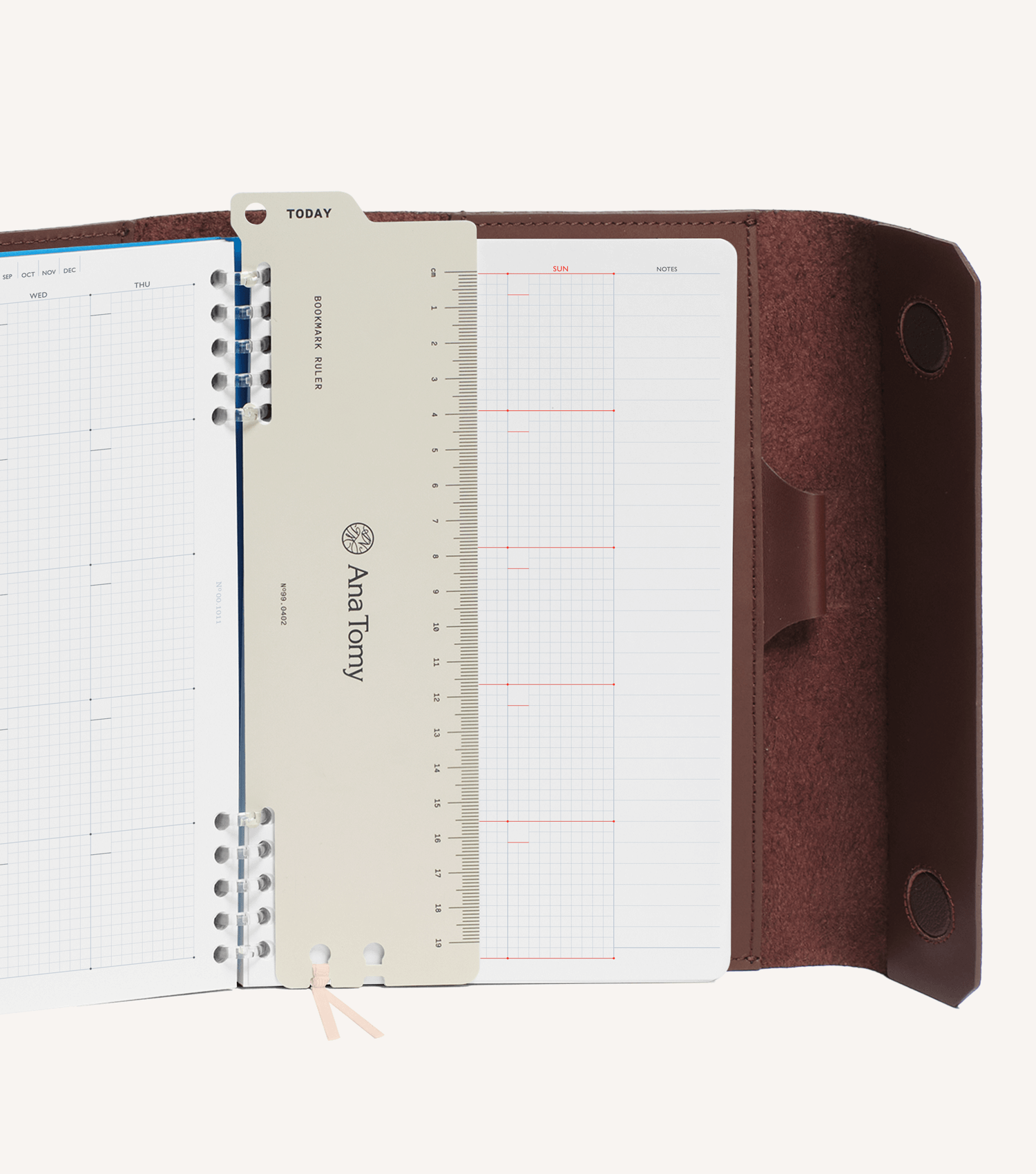 All – Ana Tomy Philippines